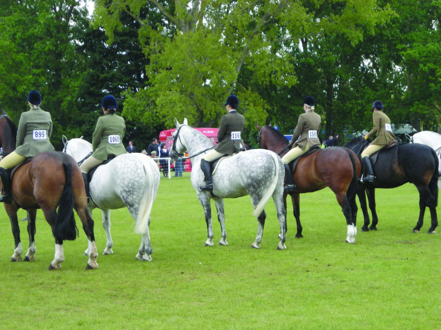 cob class lineup – Westerly Design