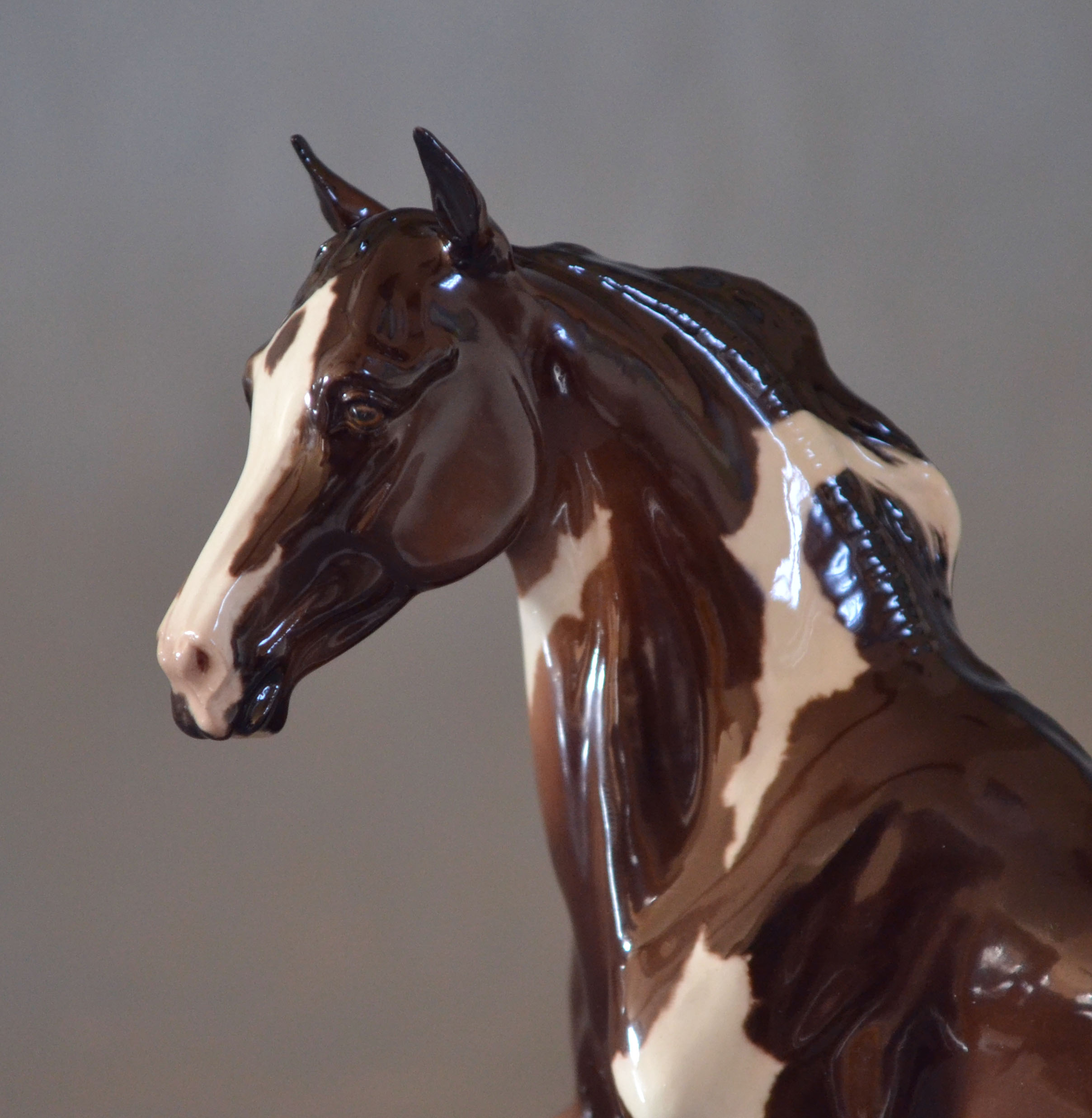 For sale: Custom-glazed china “Pepé” Part-Arabian – Westerly Design