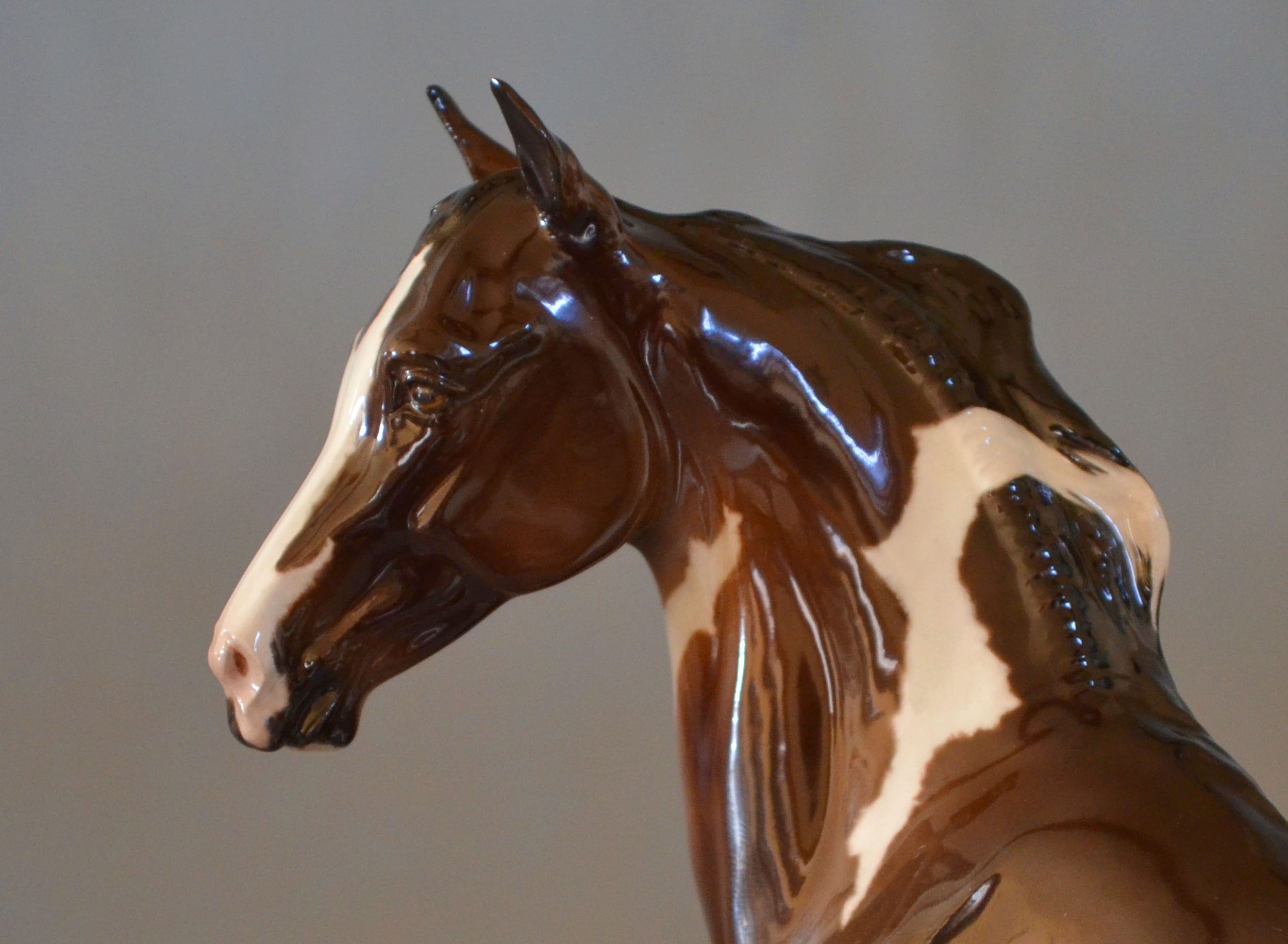 For sale: Custom-glazed china “Pepé” Part-Arabian – Westerly Design